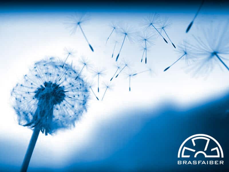 Um paralelo entre o Vento Natural e a Ventilação Industrial | Brasfaiber